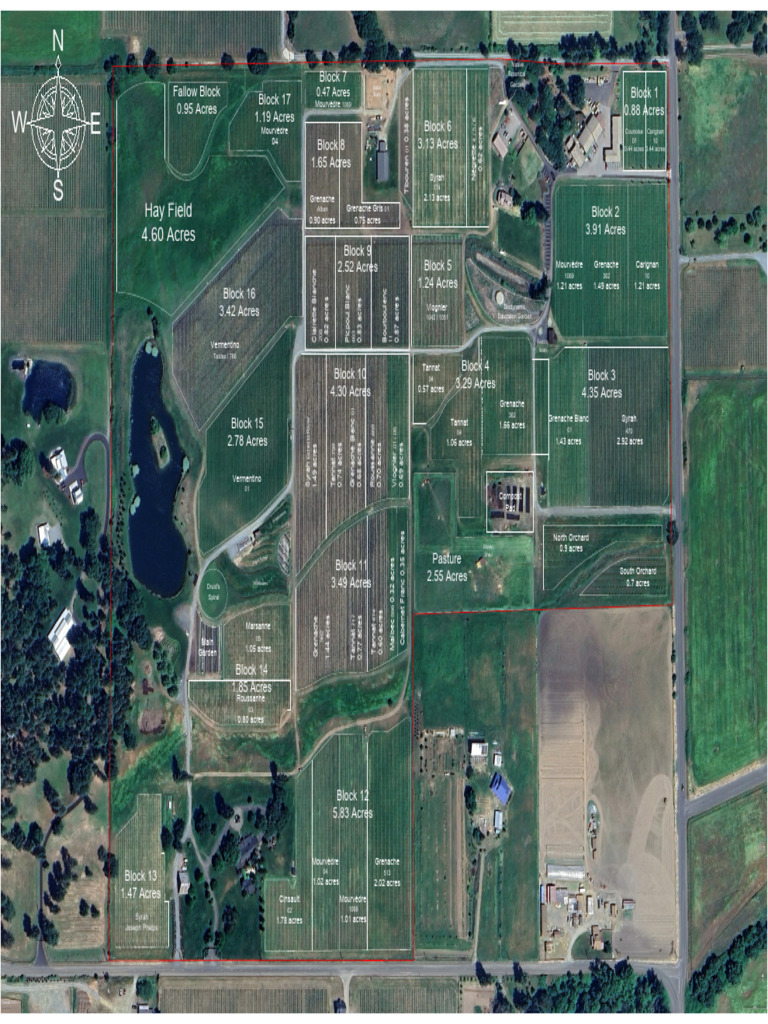 Troon Map 2024-Model 8.5x11 Colour | PDF | Grape Varieties | Viticulture