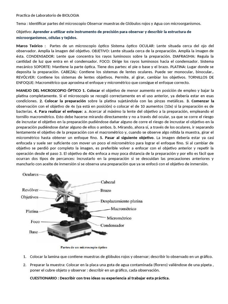 Observación de Muestras al Microscopio | PDF | Lente de la cámara ...