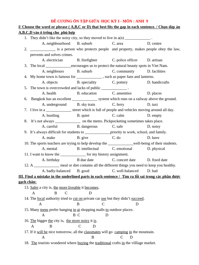 Đề cương GKI ANH 9 (24-25) | PDF | Internet