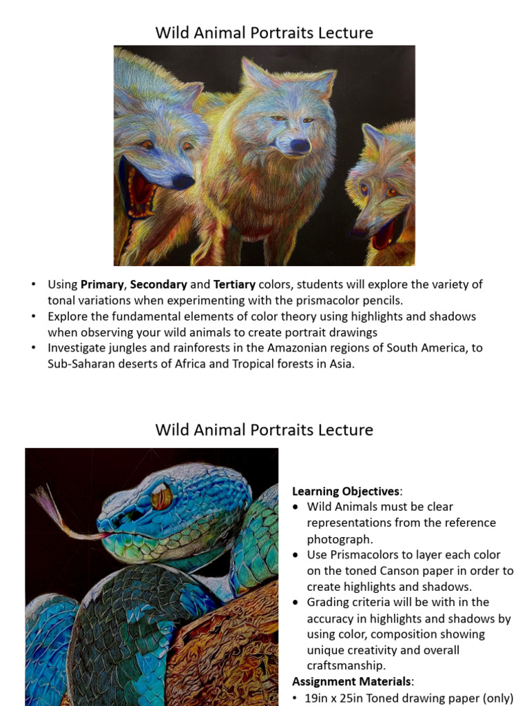 Wild Animal Portraits Techniques | PDF | Brown | Color