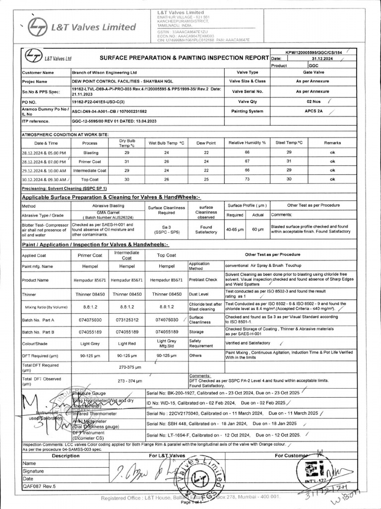 PAINTING REPORT-120005595-4900-184-02QTY | PDF