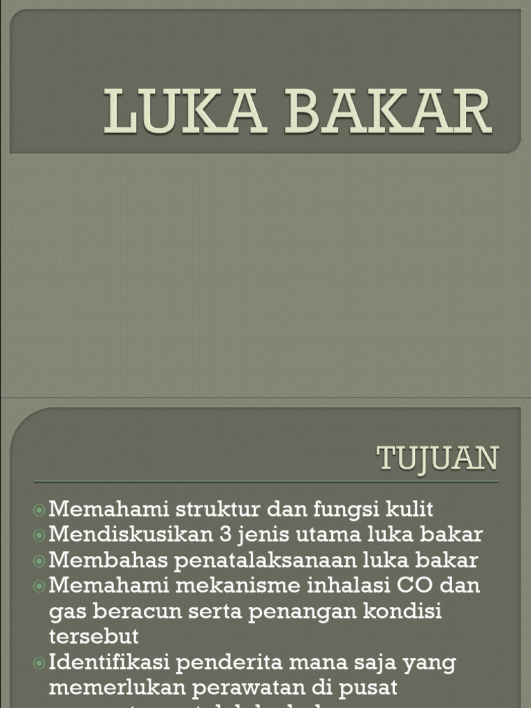 Luka Bakar | PDF