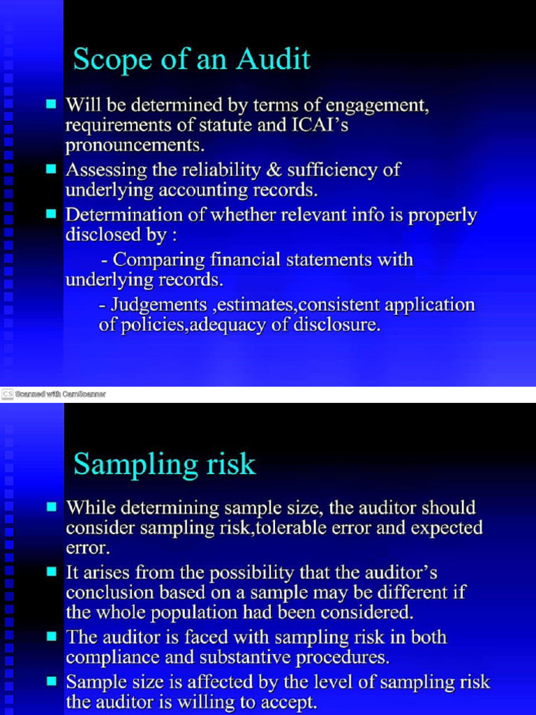 Scope of An Audit | PDF