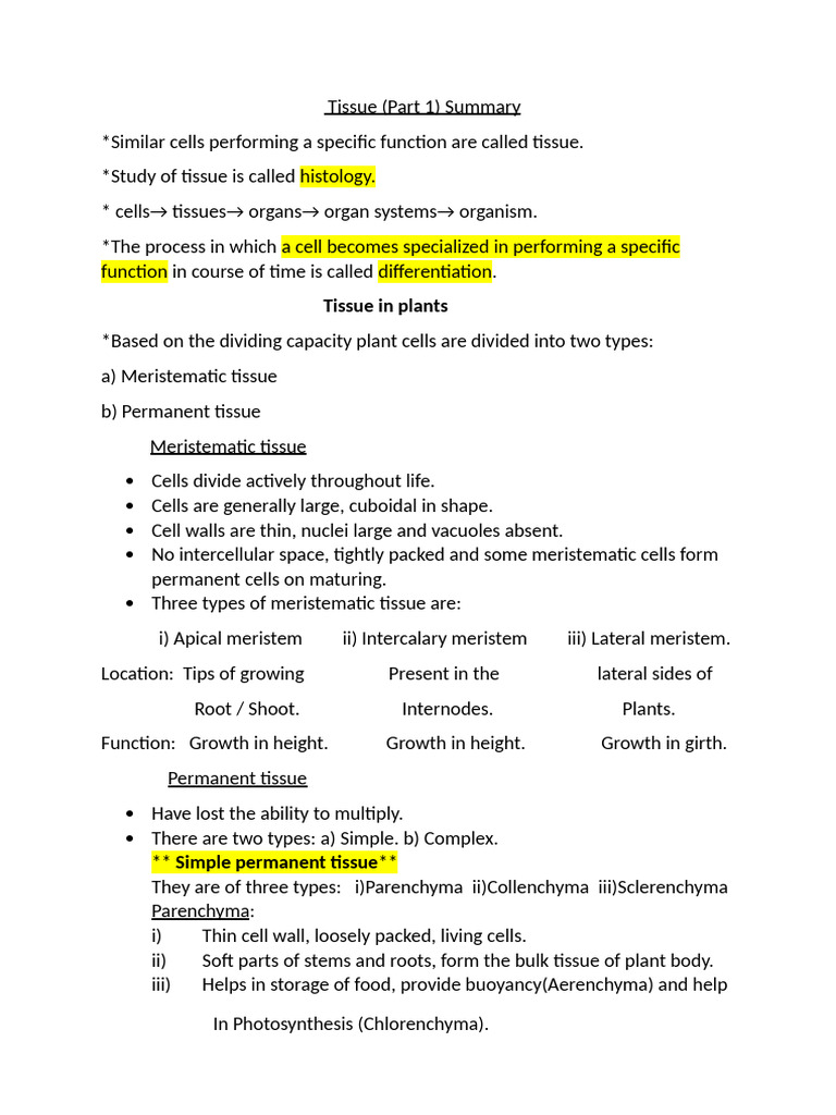 Tissue Summary | PDF | Tissue (Biology) | Branches Of Botany