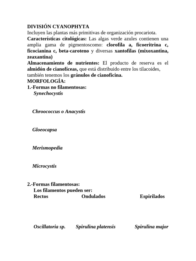 Características de la División Cyanophyta | PDF | Cianobacterias ...