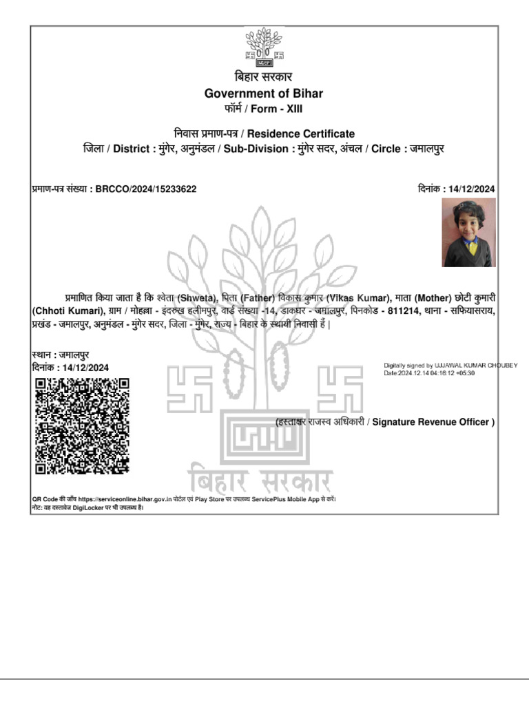 Brcco 2024 15233622 | PDF