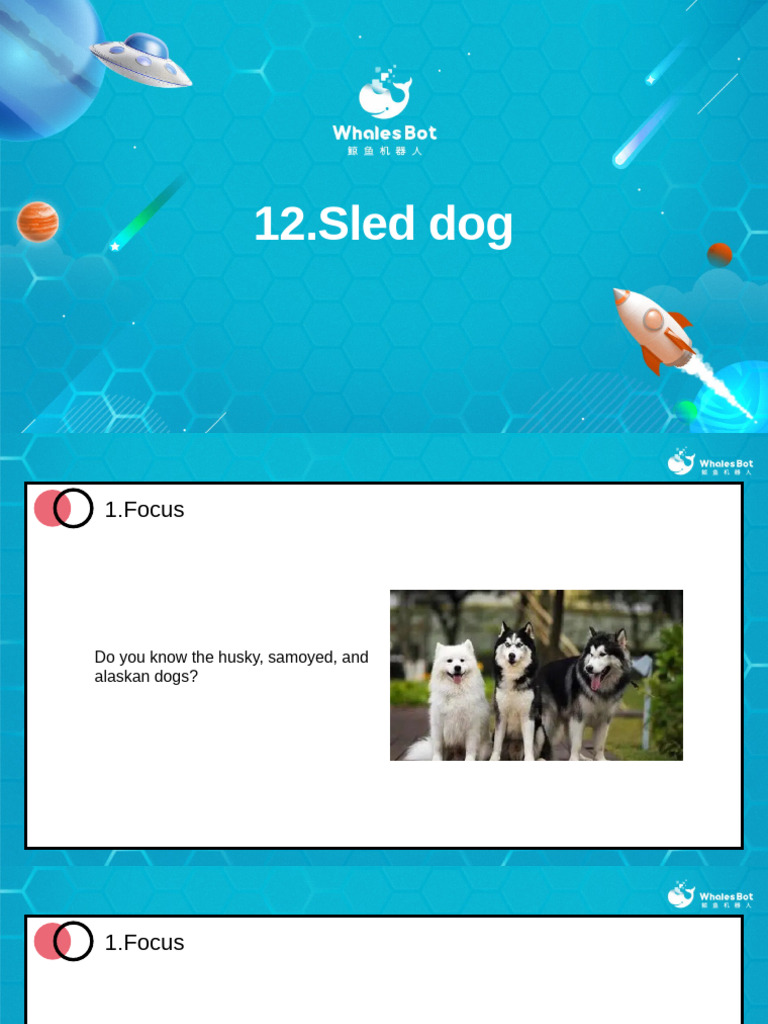 12 Sled dog | PDF