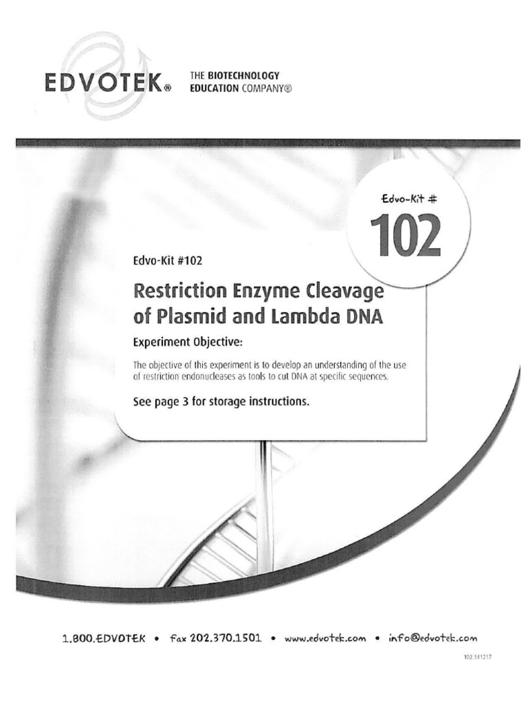 Restriction Enzyme Lab Instructions | PDF