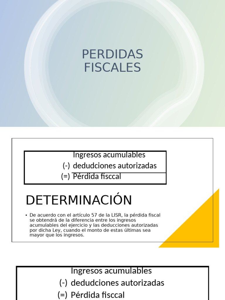 Perdidas Fiscales | PDF | Economias