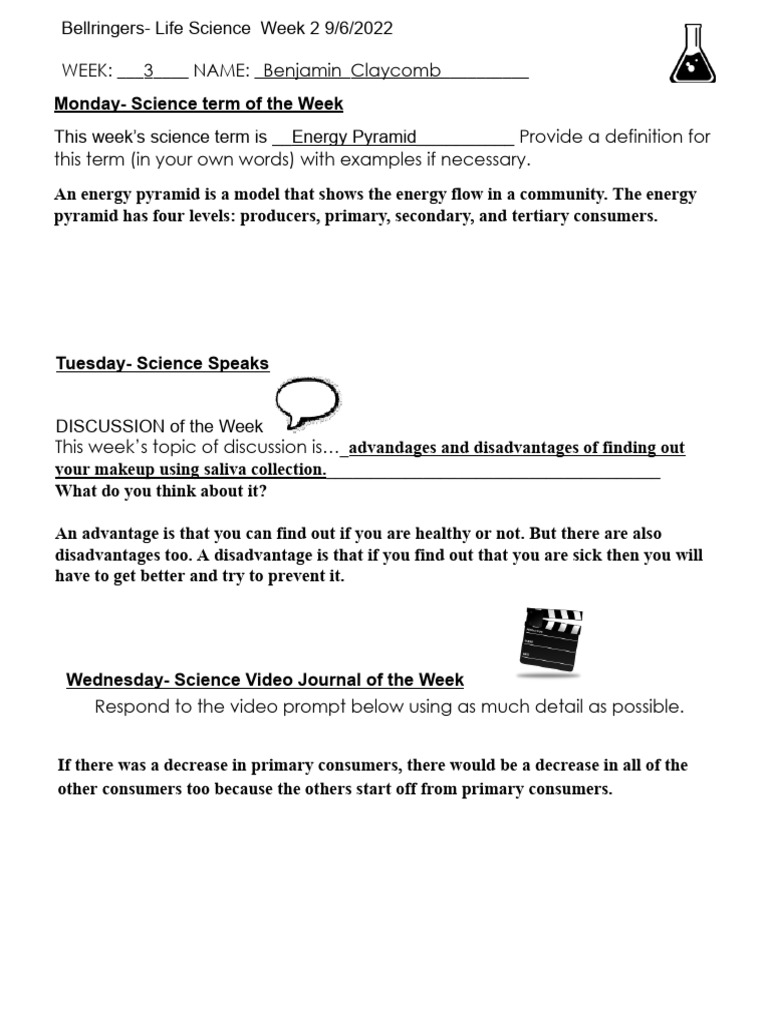 (Template) BELL RINGER RESPONSE SHEET - No Lines | PDF