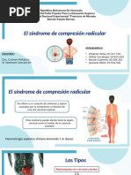 Compresion Radicular. | PDF | La columna vertebral | Sistema ...