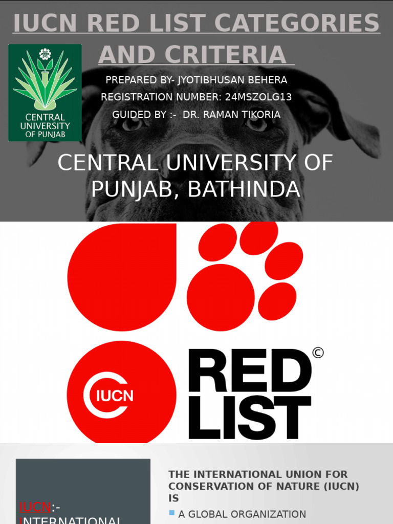 IUCN Red List Categories Explained | PDF | Endangered Species ...