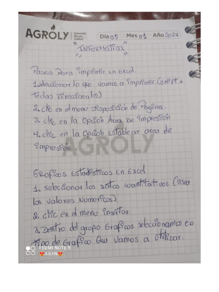 Capturas de Yeraldine | PDF