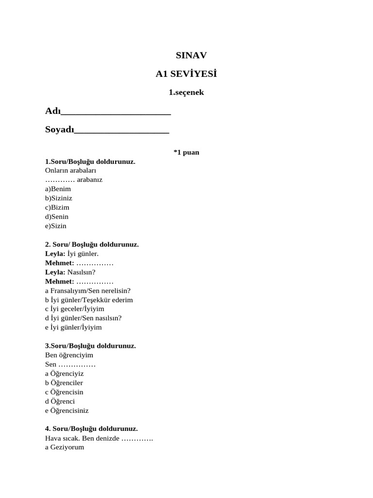 A1 Sınav | PDF