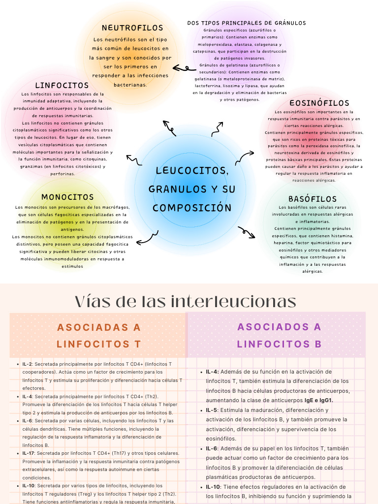 INTERLEUCINAS | PDF | Sistema inmune | Célula T