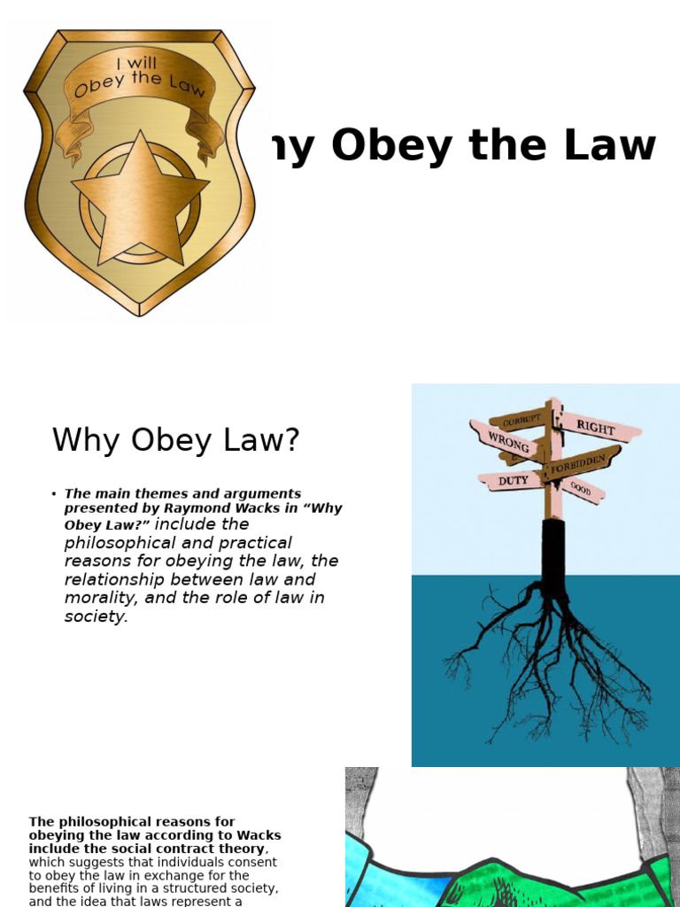 why obey the law (1) | PDF | Social Contract | Natural Law