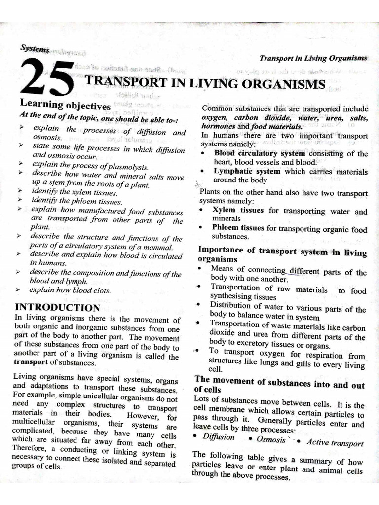 Transport in Living Organisms | PDF