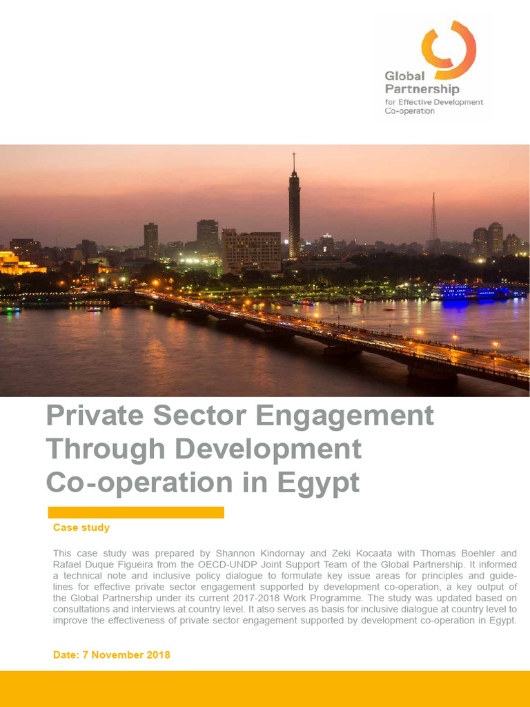 Egypt Case Study-OECD-Endorsed_Final | PDF | Corporate Social ...