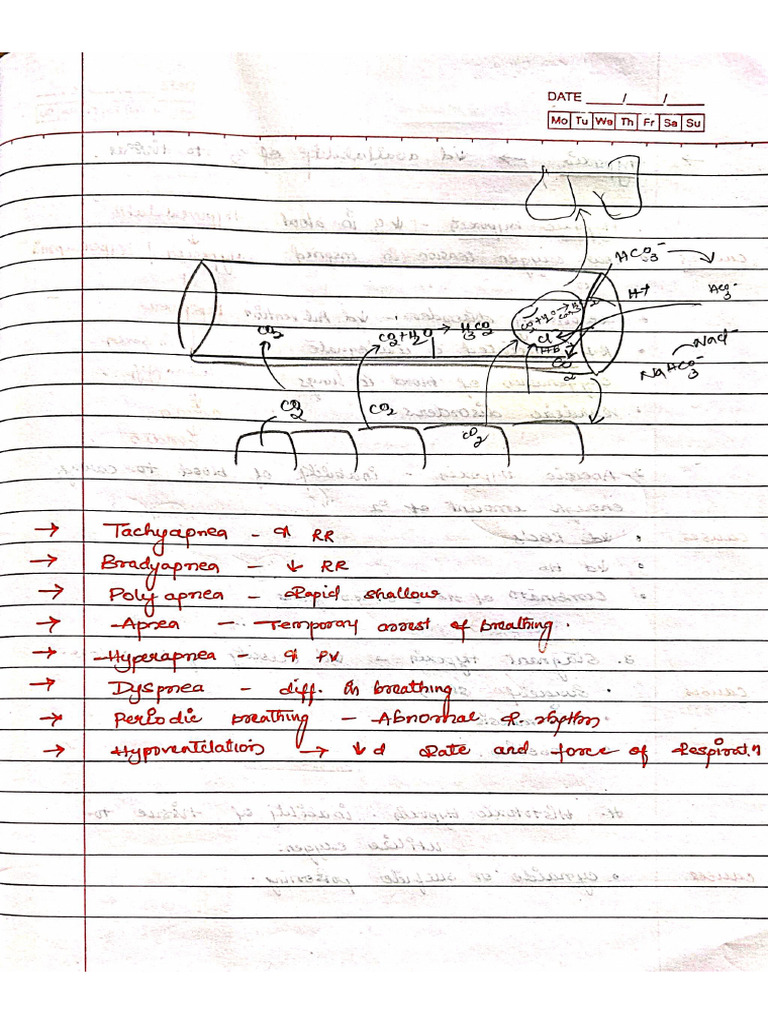 Diesease of Respiratory System | PDF
