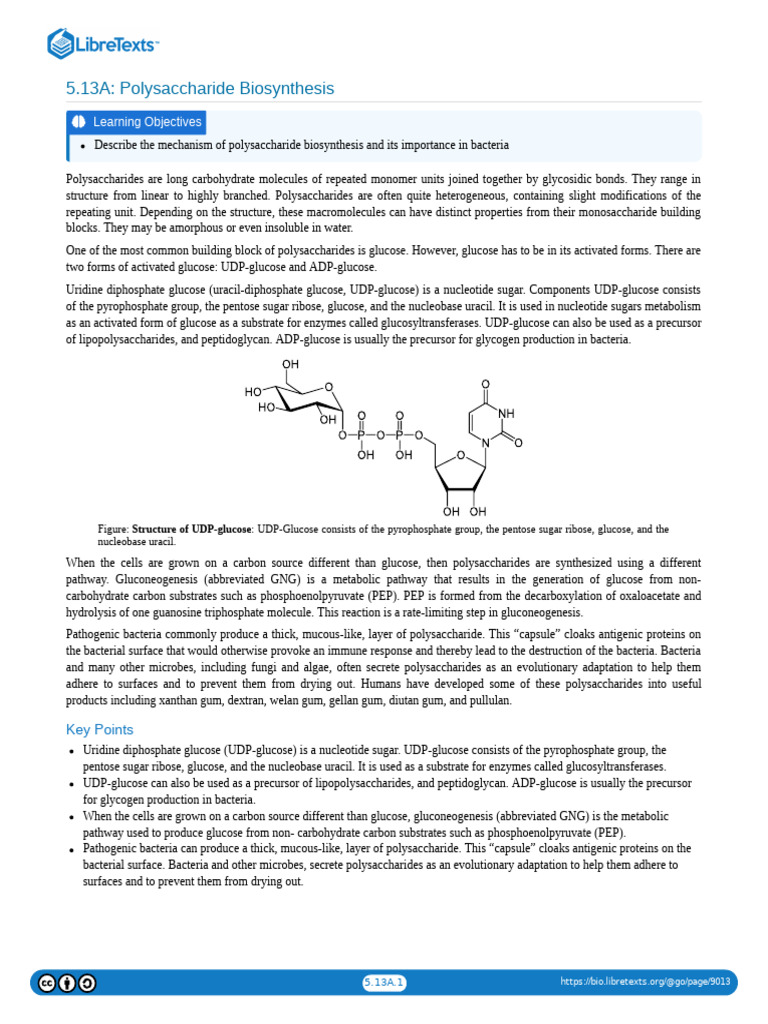 5.13A Polysaccharide Biosynthesis | PDF | Polysaccharide | Metabolism