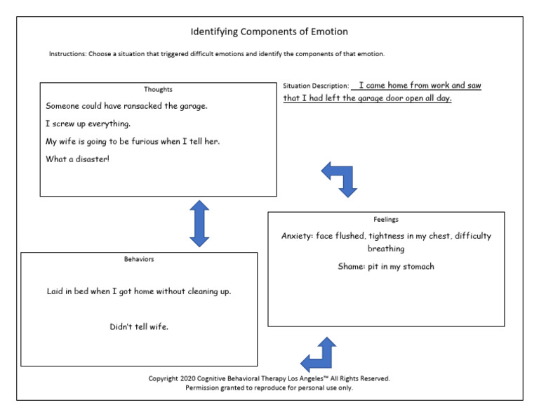 Identifying Components of Emotion Sample | PDF