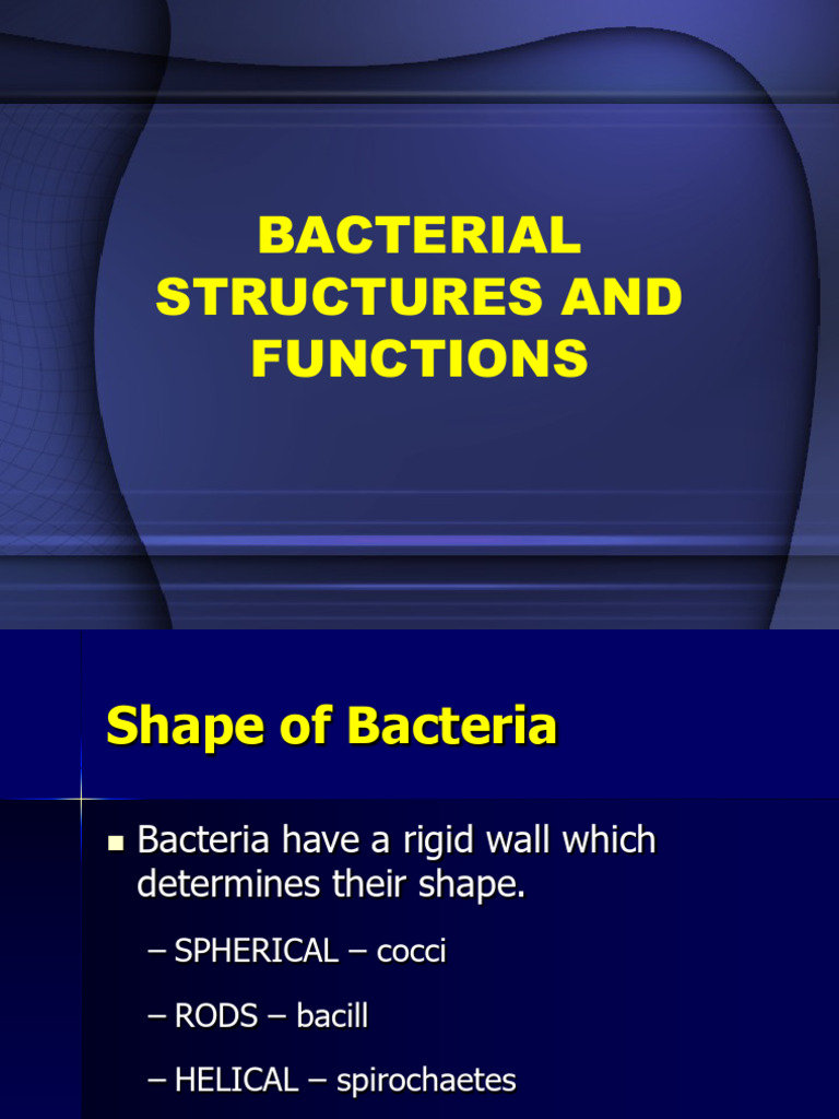 Bacterial Structures and Functions Explained | PDF | Bacteria | Cell (Biology)