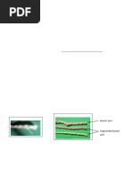 7mm-PRC Saami | PDF | Cartridge (Firearms) | Ammunition