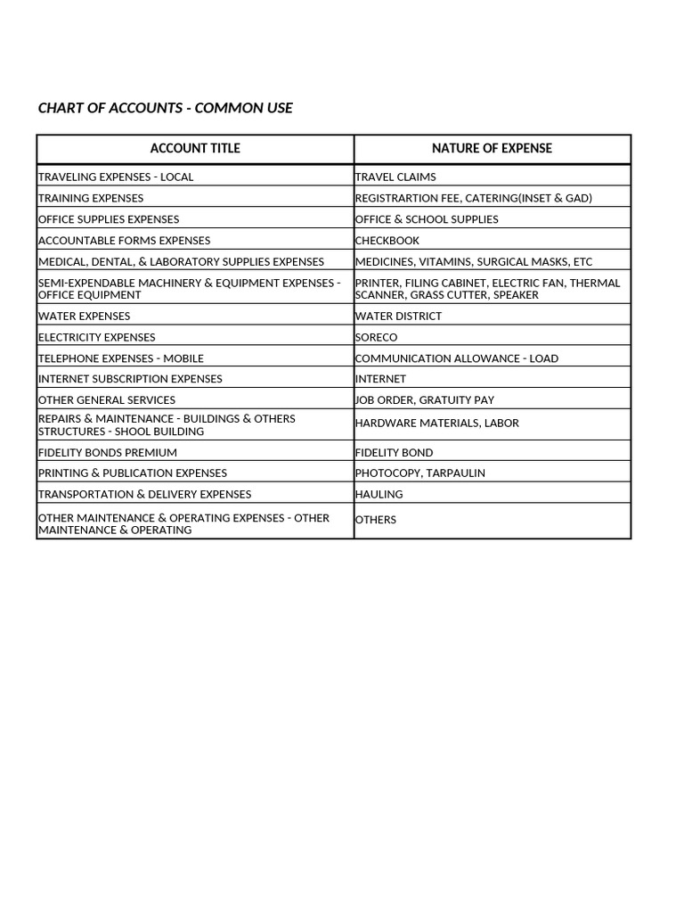 Chart of Accounts Common Use | PDF