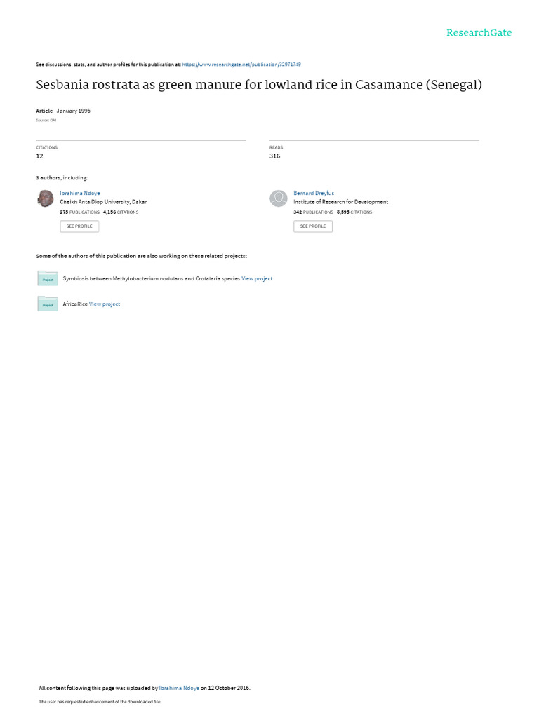 Sesbania Rostrata As Green Manure For Lowland Rice | PDF | Rice ...