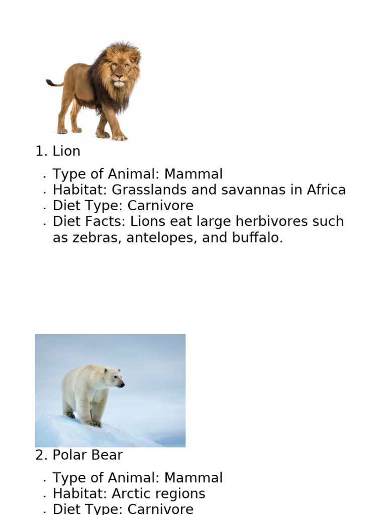 Animal Fact Sheets Week 3 Lesson 1 | PDF | Mammals | Herbivore