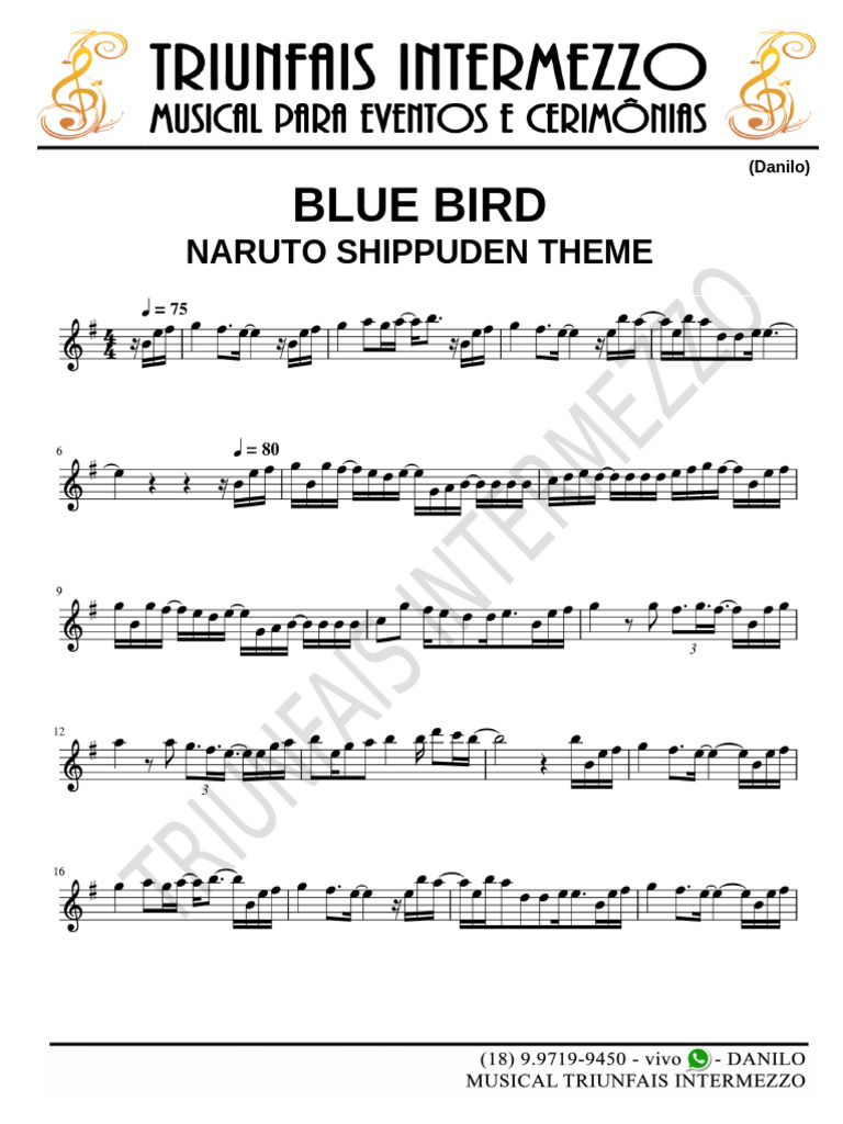 Blue Bird - Naruto Shippuden (Violino Solo) | PDF