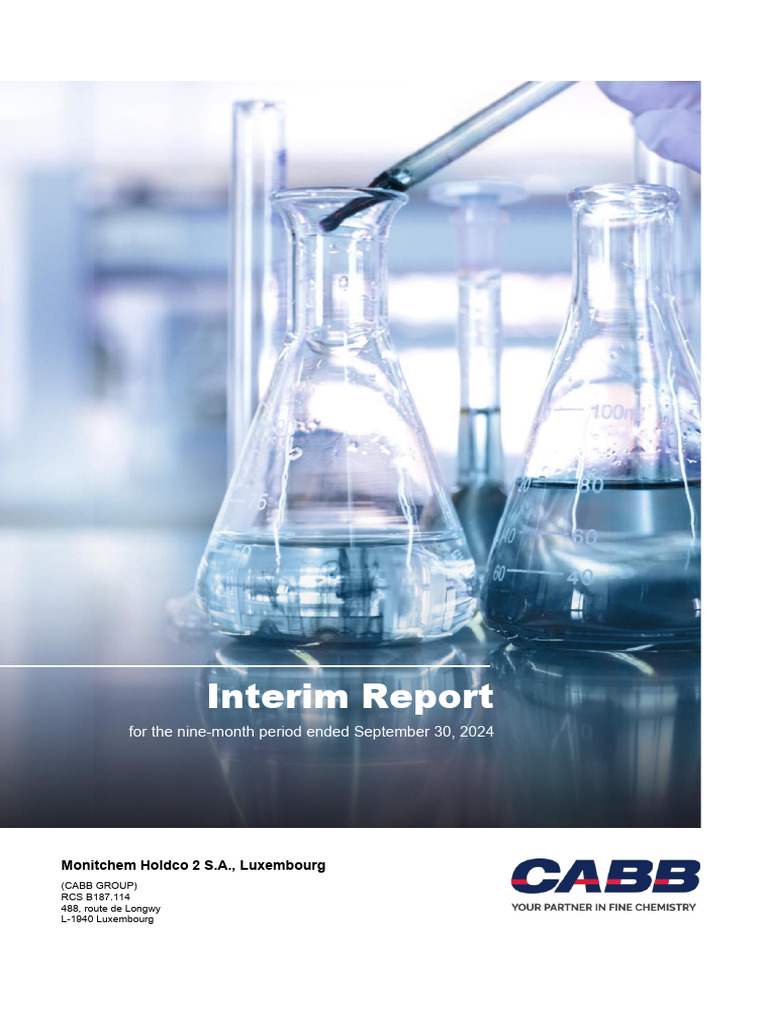 CABB Group Q3 2024 Report | PDF | Supply Chain | Investing
