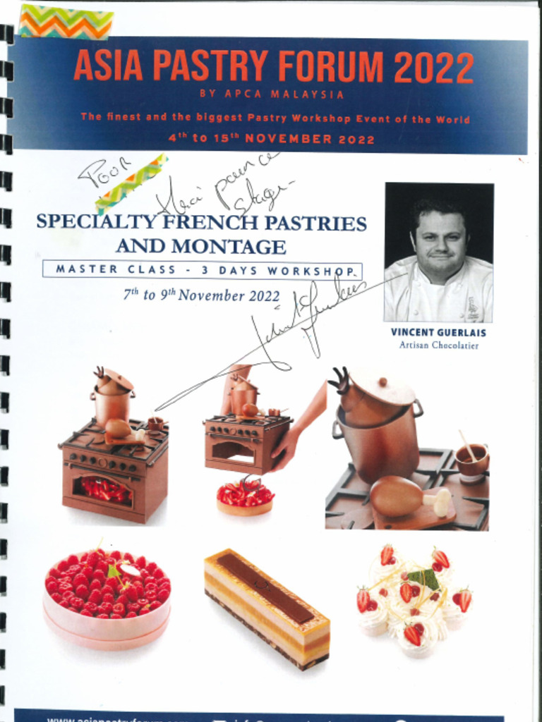 APCA Vincent Guerlais | PDF