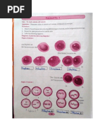 MSDS Servosystem 32 | PDF