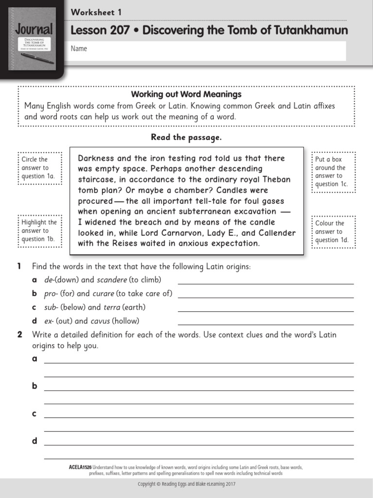 Year 6 Reading Practice 13 | PDF | Word | Linguistics