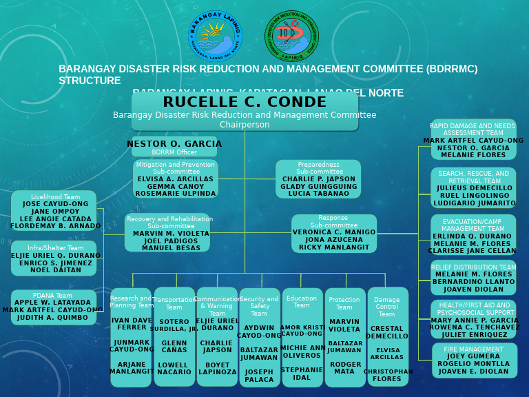 BDRRMC STRUCTURE | PDF | Risk Management | Safety