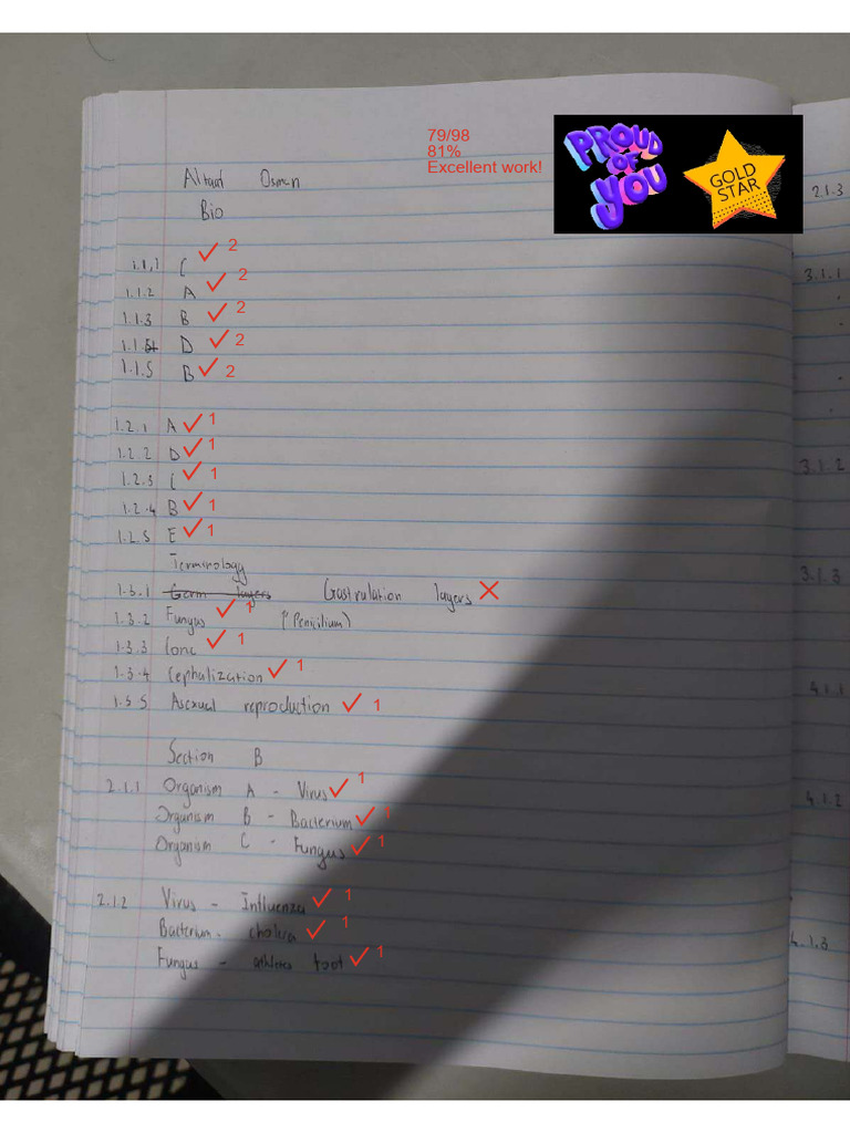 Life Science P1 Grade 11 Term 4 | PDF