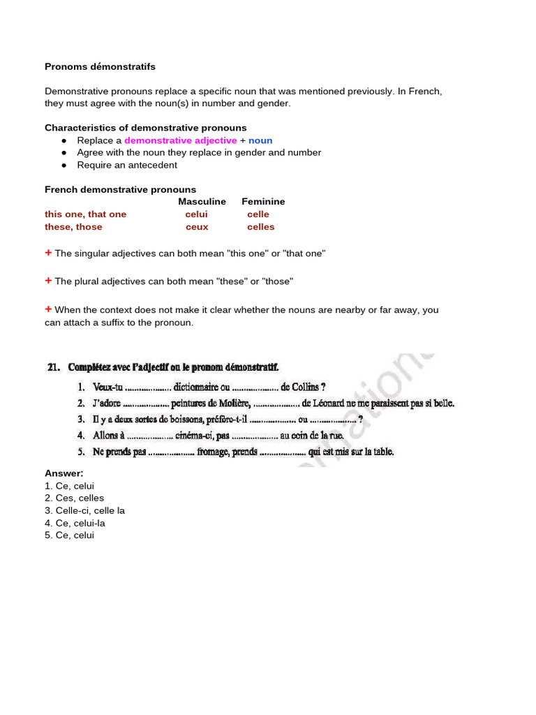 Adjectifs et Pronoms démonstratifs1 | PDF
