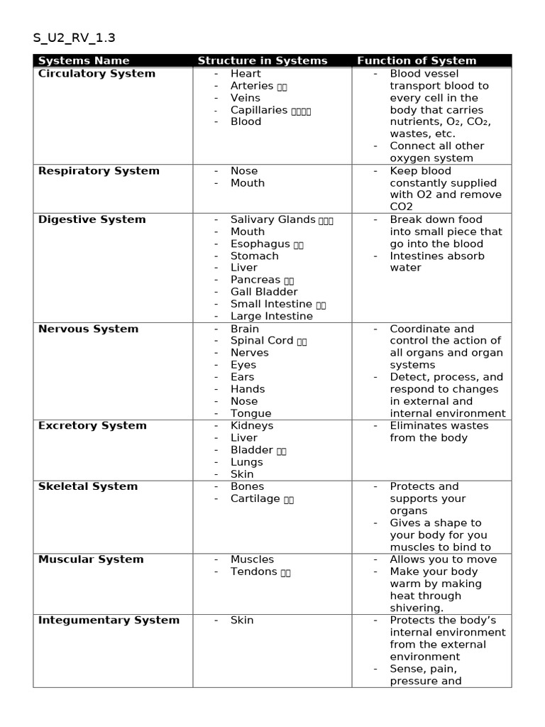 S_U2_RV_1.3 | PDF | Human Body | Anatomy