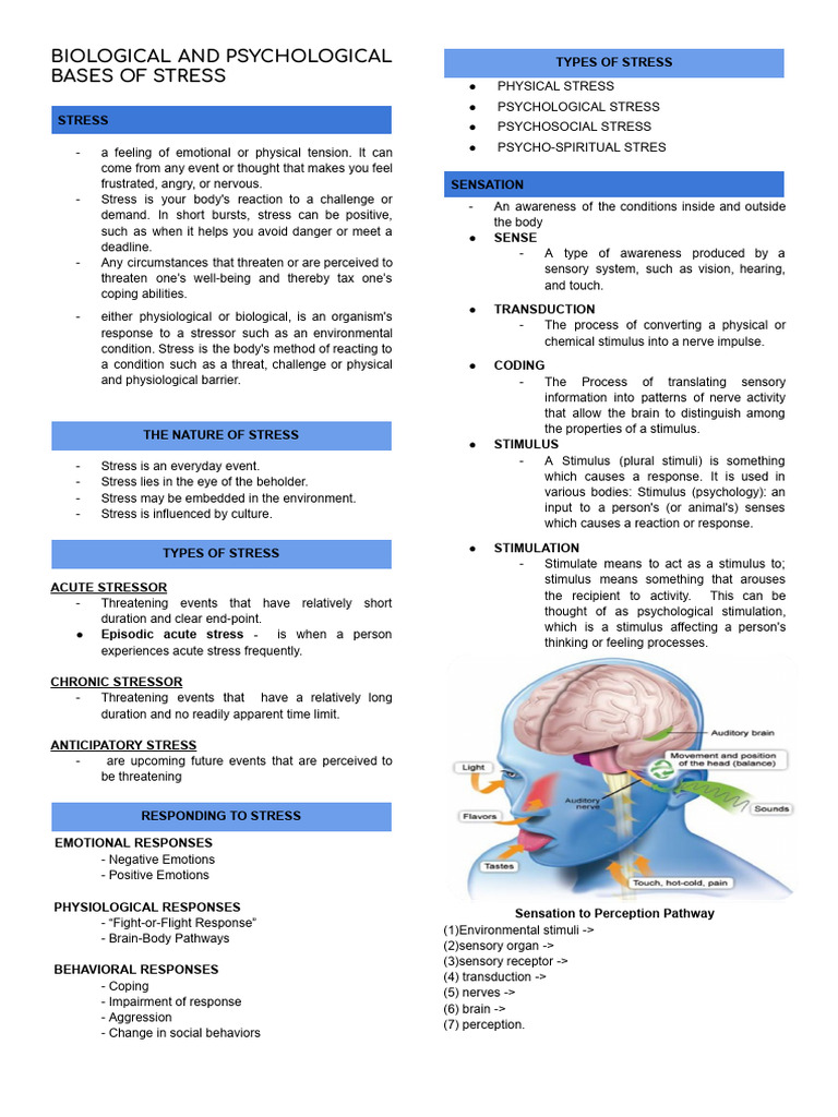 Understanding Stress: Types and Responses | PDF | Stress (Biology) | Id