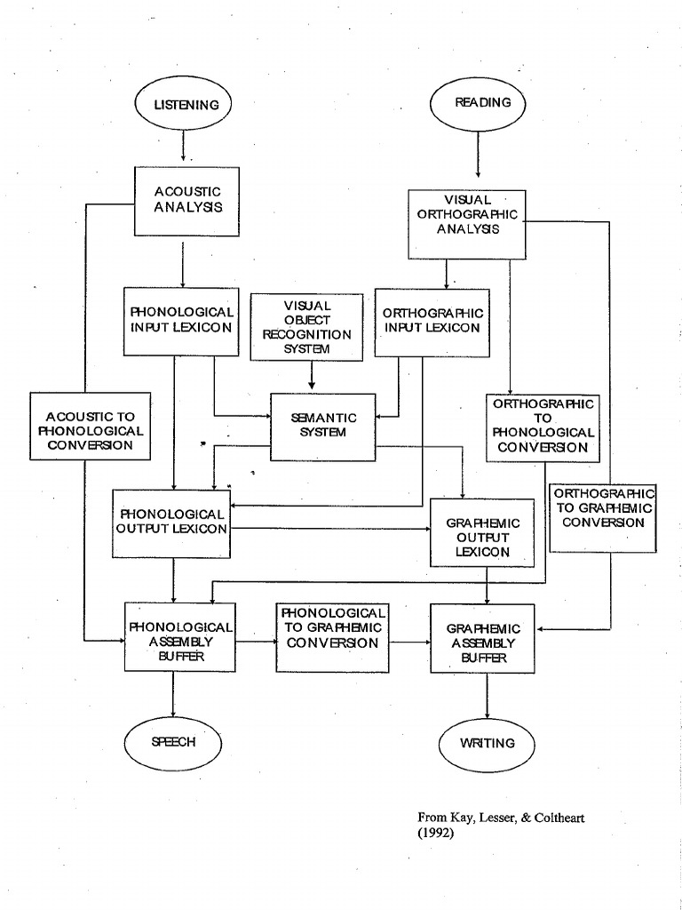 Kay Et Al (1992) Model - Exercise Version. | PDF