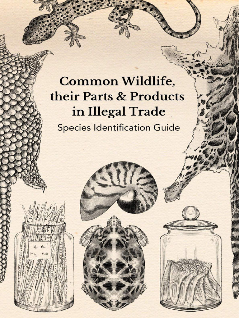 Species Investigation Guide | PDF