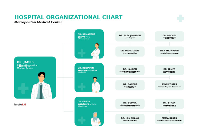 Hospital Organizational Chart | PDF