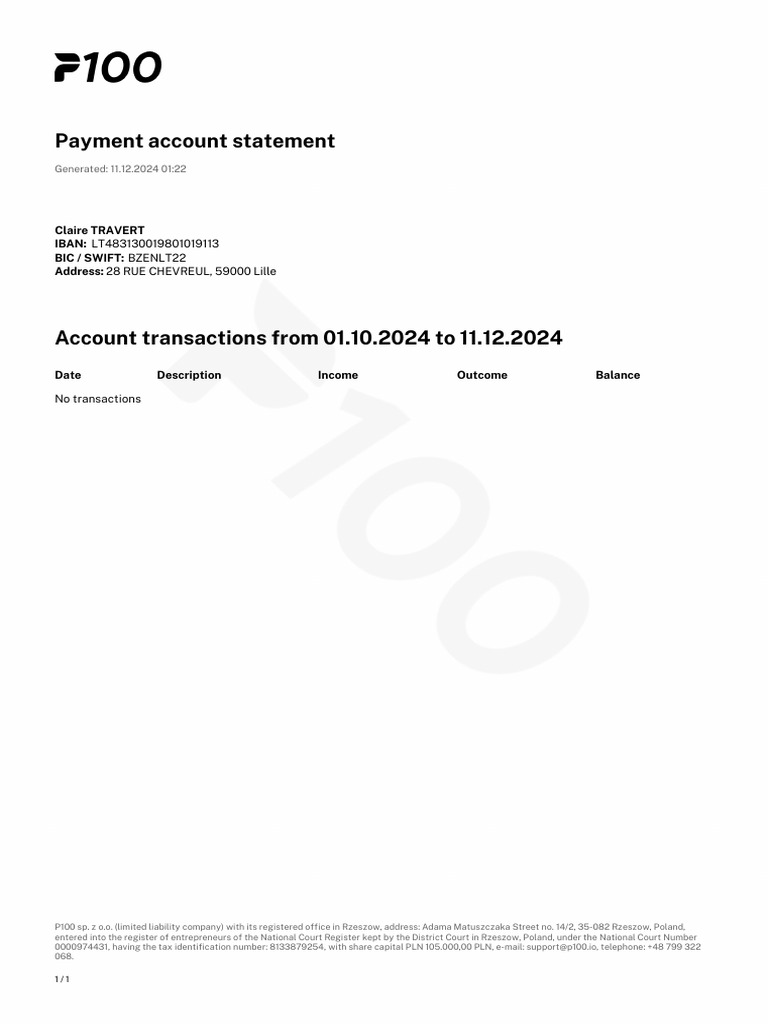 Payment Account Statement Overview | PDF