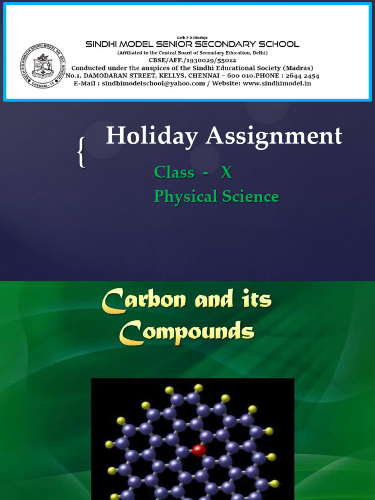 Science Holiday HW | PDF