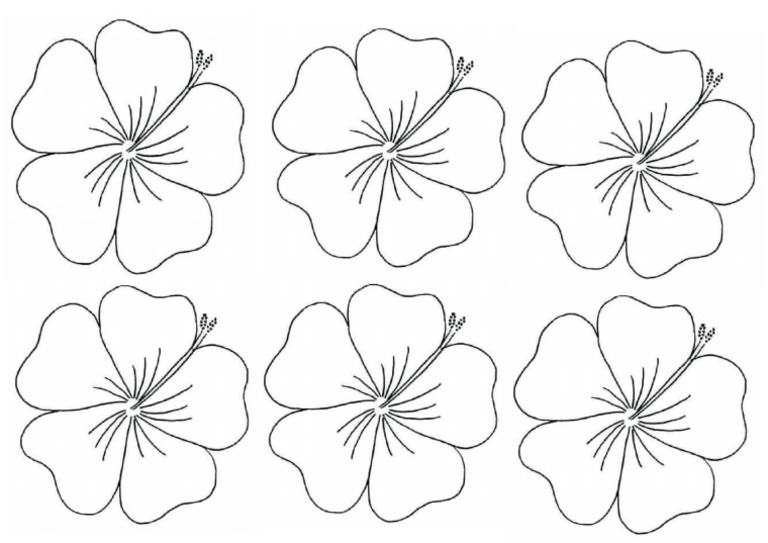 Bunga Raya Rukun Negara | PDF