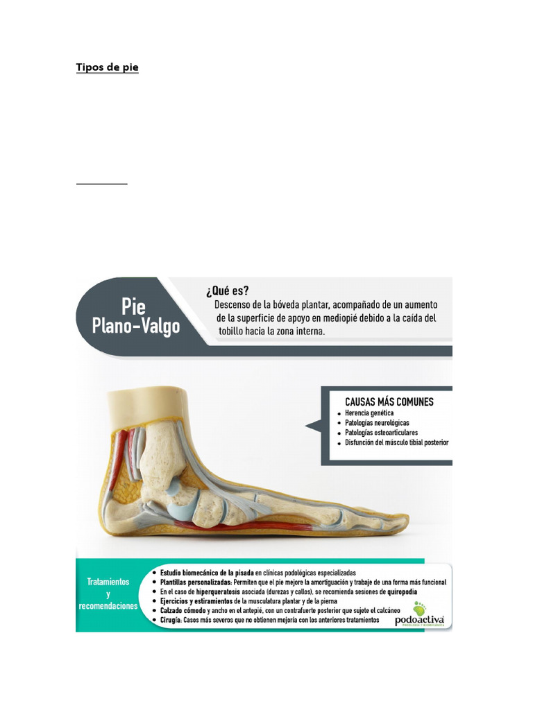clase tipos de pie pdf | PDF | Pie | Tobillo
