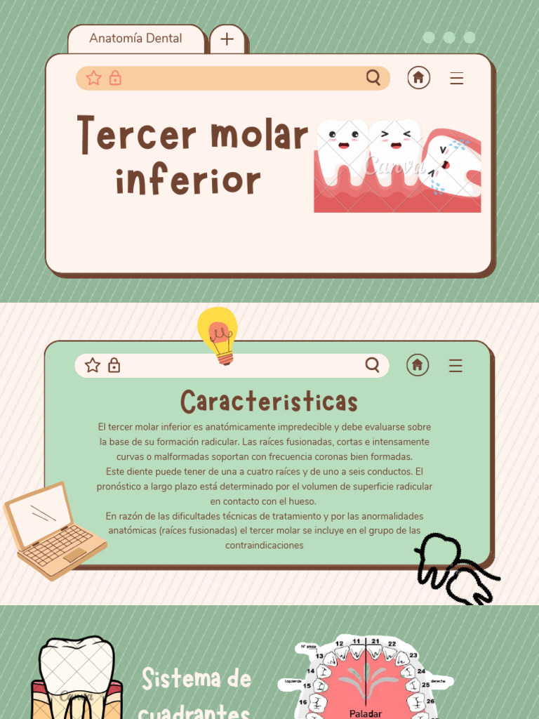 Tercer Molar Inferior | PDF | Ramas de Odontología | Diente