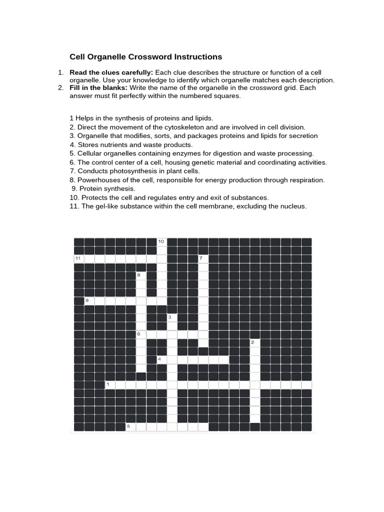 Cell Organelle Crossword Instructions | PDF