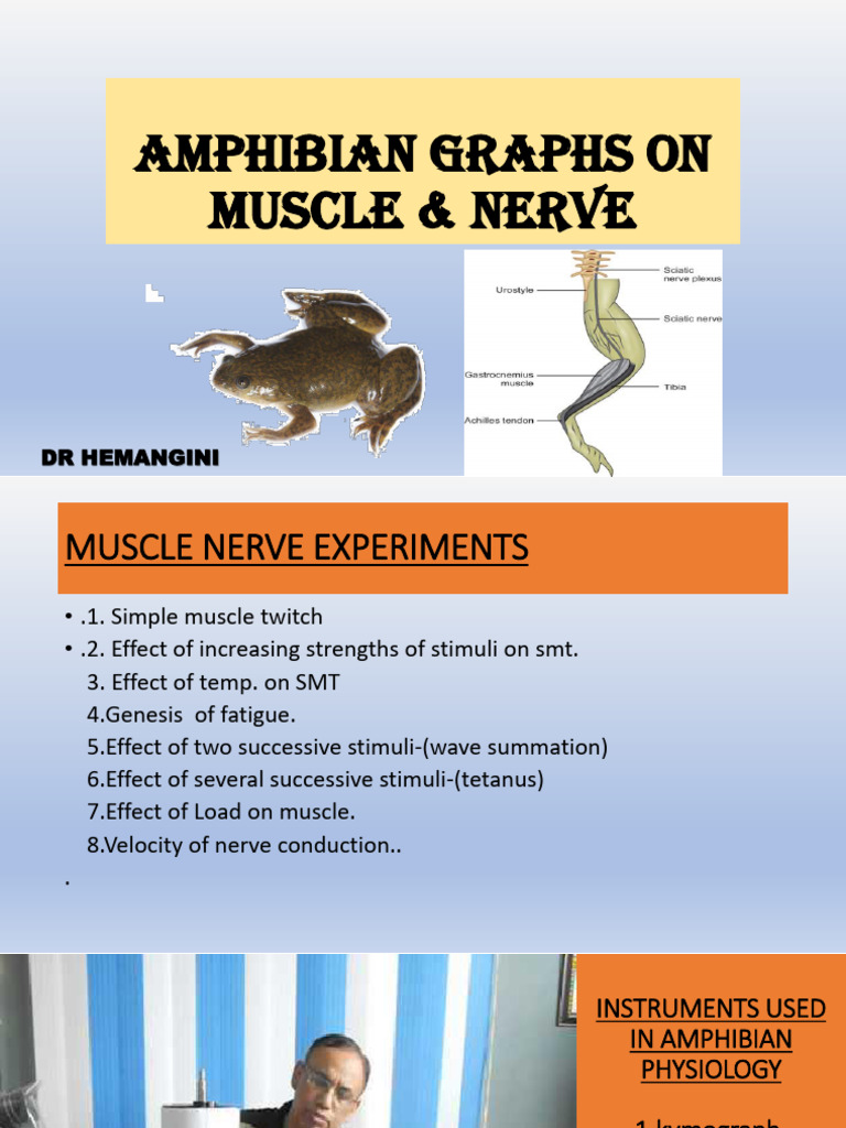 Amphibian Graphs On Muscle & Nerve (DR Hemangini) - 1 | PDF | Muscle ...